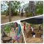 Volunteering at the Juara Turtle Project, Tioman Island - Malaysia ...