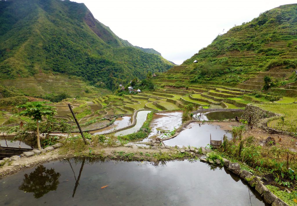 The Ancient Rice Terraces of Banaue, Batad and Hapao: Ultimate Guide ...