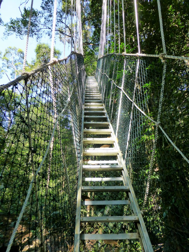 The Canopy Walkway in the Taman Negara, Malaysia - Safe and Healthy Travel