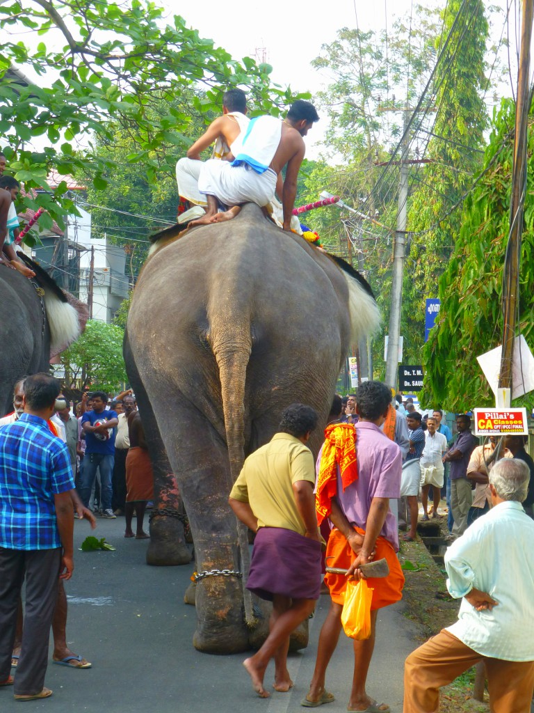 Rituals, roasted rice and holy elephants in Cochin, Kerala - India ...