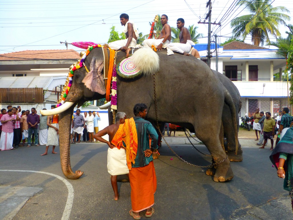 Rituals, roasted rice and holy elephants in Cochin, Kerala - India ...