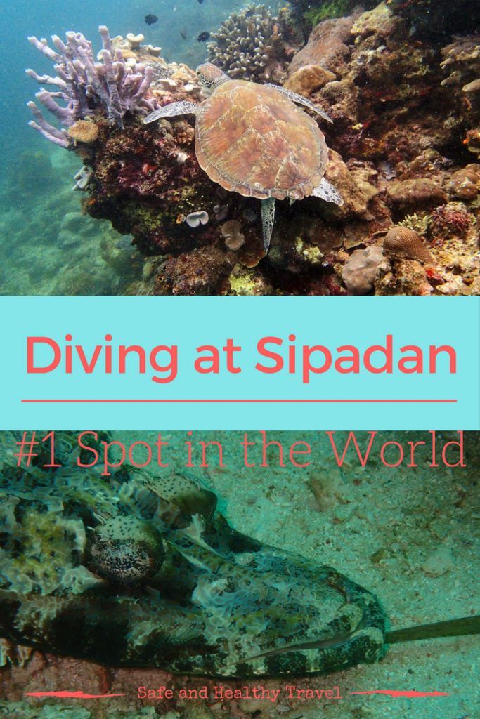 Diving at Sipadan: My Experience + Costs & Tips for the #1 Dive Spot ...