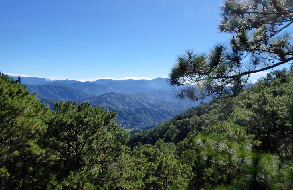 Discover Baguio: The Refreshing Summer Capital of the Philippines ...