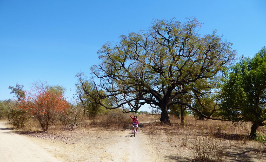 Wassu & Kuntaur in 3 Days - The Inland of The Gambia - Safe and Healthy ...