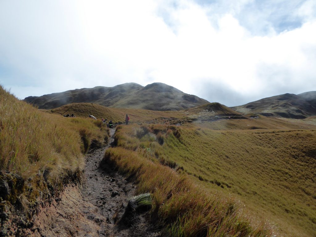 Hiking to the Summit of Mt Pulag - The Philippines - Safe and Healthy ...